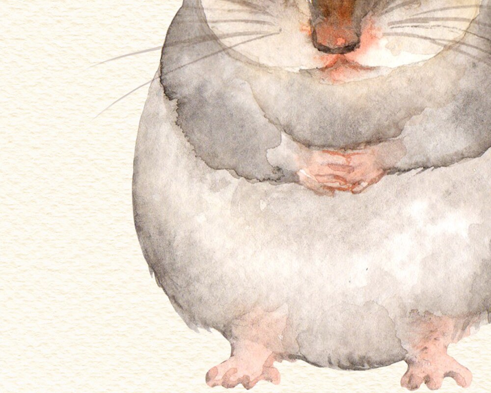 Hamster Print Hamster Poster Baby Hamster Nursery Wall Art | Etsy