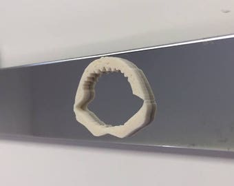 Surfing Jaws Shark Teeth Love Chrome Automotive License Plate Frame - Etsy