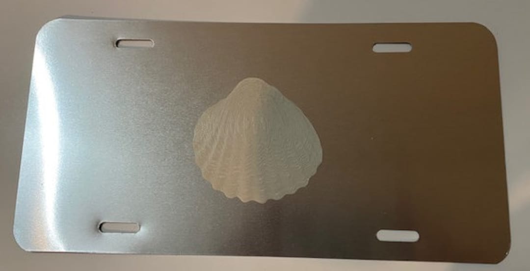 Sea Shell in 3D Version License Plate INSERT Grey With White Automotive ...