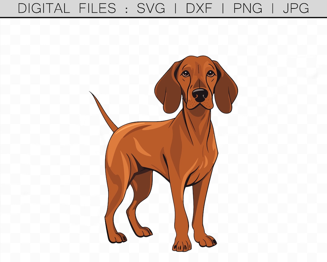Redbone Coonhound SVG Cartoon Clipart Vector Illustration, Digital Cut ...