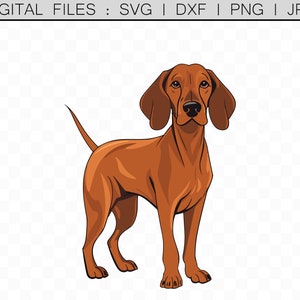Redbone Coonhound SVG Cartoon Clipart Vector Illustration, Digital Cut ...
