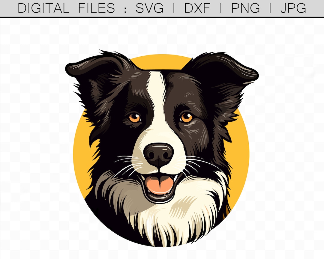 Border Collie Dog Logo, Border Collie Svg, Dog Head Vector Clipart ...