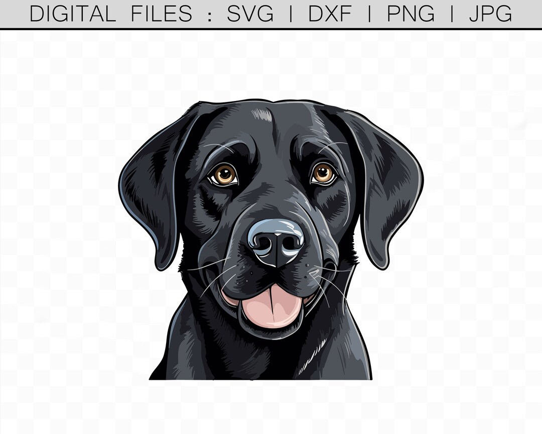Labrador Head SVG Cartoon Clipart Vector Illustration, Digital Cut ...