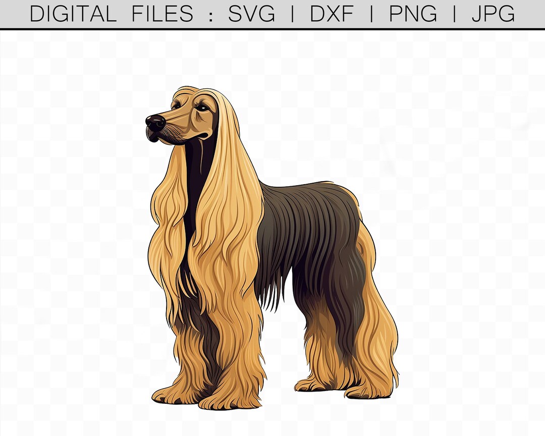 Afghan Hound Long Haired Dog Clipart Svg Png Dxf Show Dog - Etsy