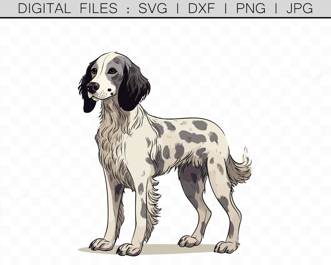 English Setter Clipart Svg Png Dxf Jpg, Vector Clip Art, Digital ...