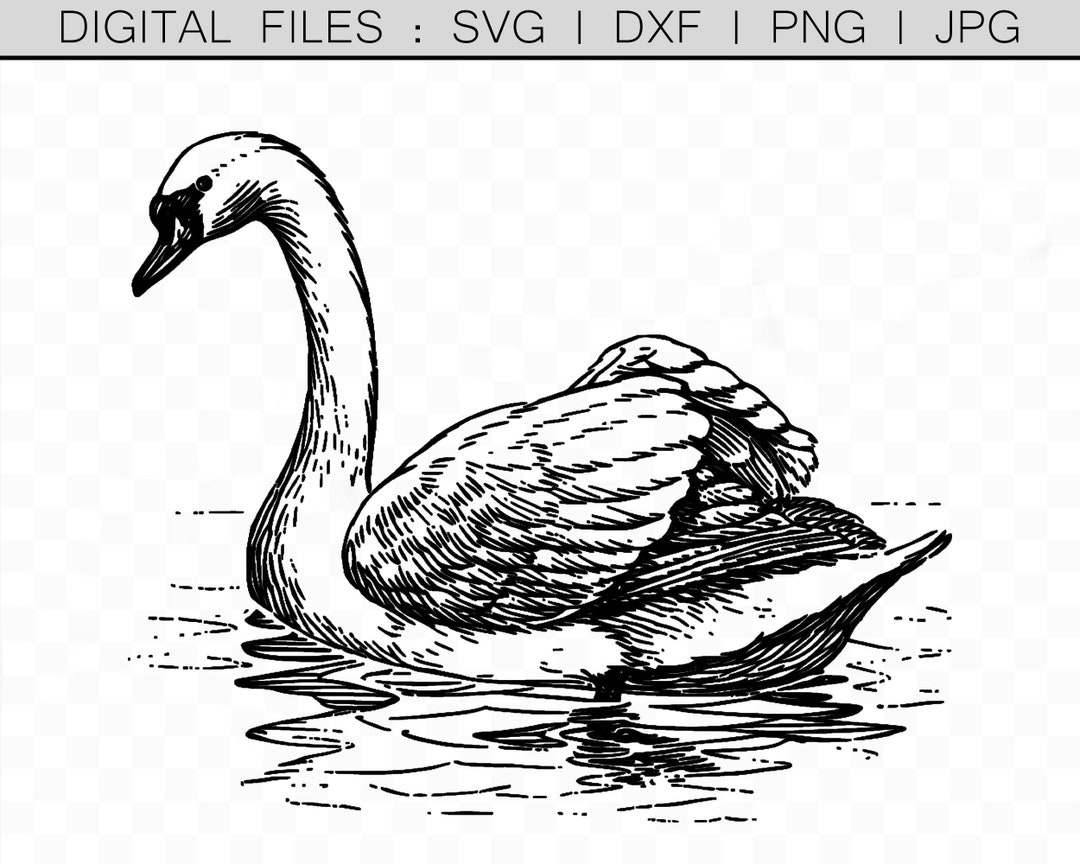 Swan Svg, Swan T-shirt Design, Swan Vinyl Decal Cutting Files, Cricut ...