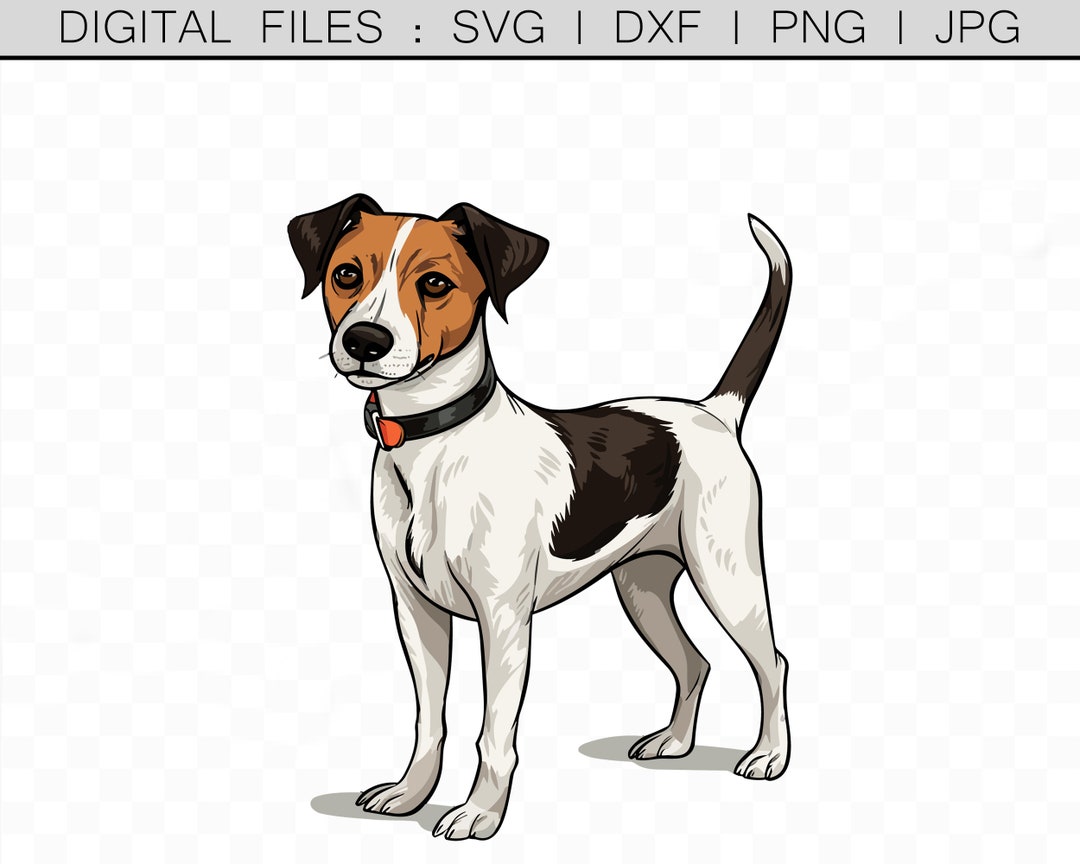 Jack Russell Dog, Cartoon Illustration Vector Clip Art, Digital ...