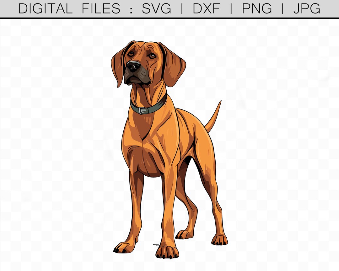 Rhodesian Ridgeback Clipart, Vinyl Decal Design, Dog Logo, Tshirt Svg ...
