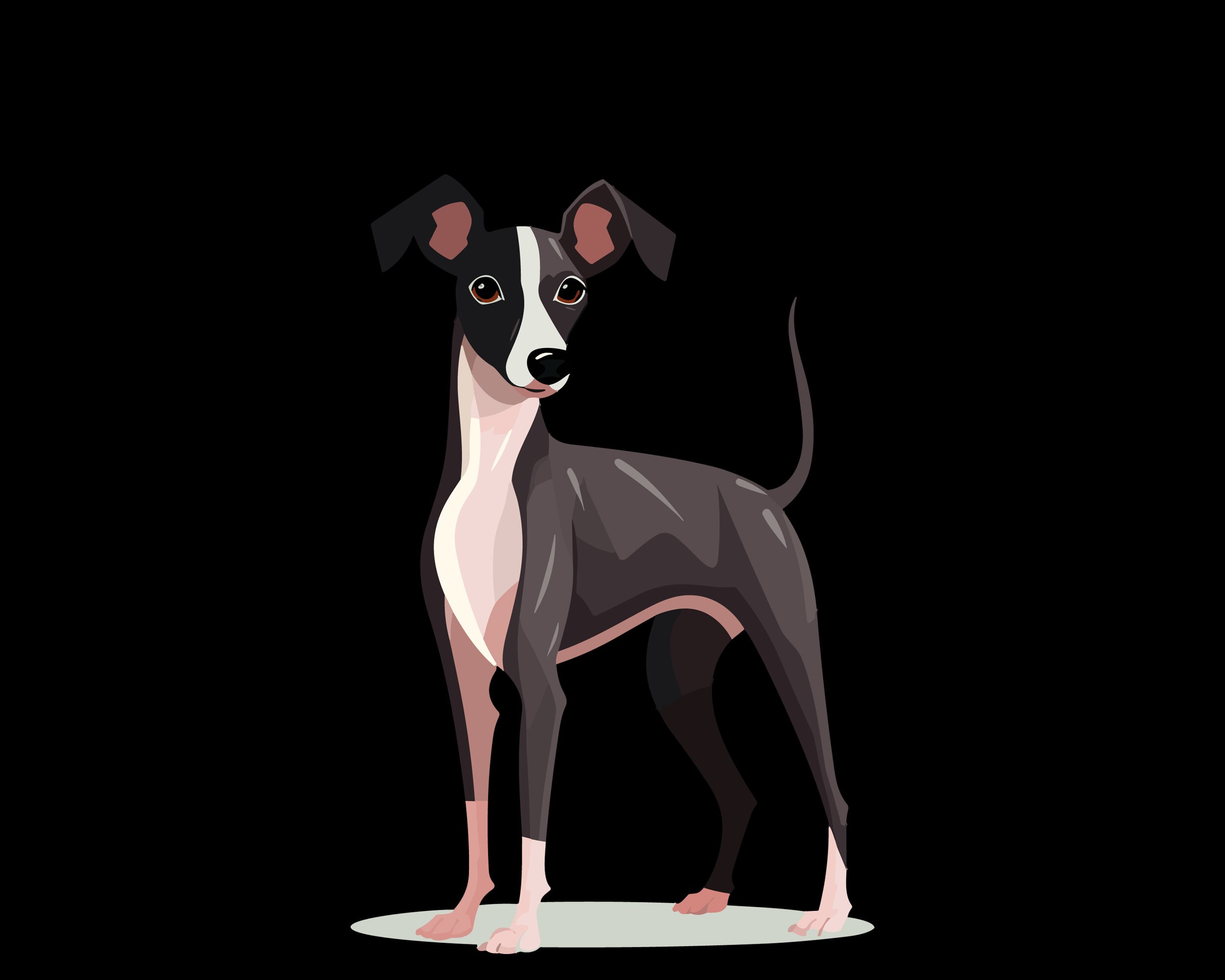 Ilustración de dibujos animados de galgo italiano, Vector Clip Art ...