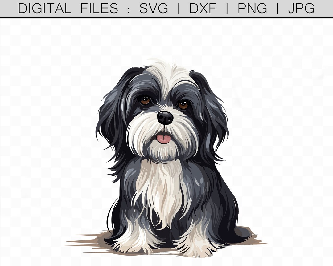 Lowchen Dog SVG Cartoon Clipart Lowchen PNG Dog Lover Vector - Etsy ...