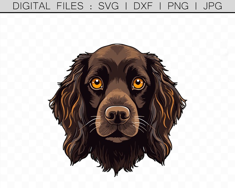 Boykin Spaniel SVG Clipart Digital Cut Files for Vinyl Decal - Etsy ...