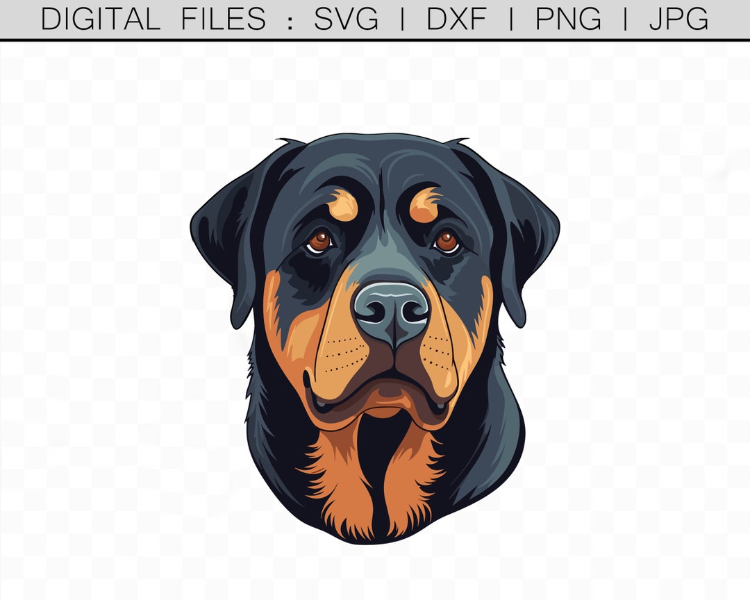 Rottweiler Head Clipart, Vinyl Decal Design, Tshirt Svg Cut Files for ...