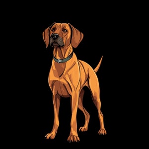 Rhodesian Ridgeback Clipart, Vinyl Decal Design, Dog Logo, Tshirt Svg ...