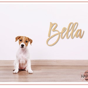 LIVE PREVIEW Custom Pet Name Sign, Custom Wooden Pet Name Sign, Custom ...