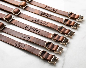 Dog Kevlar Collar - Etsy