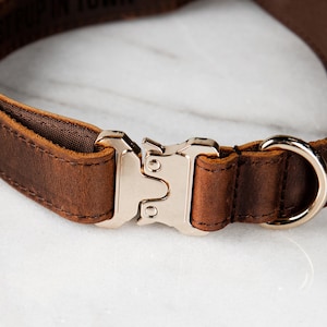 Personalized Distressed Leather and Kevlar Dog Collars With Leash Set ...