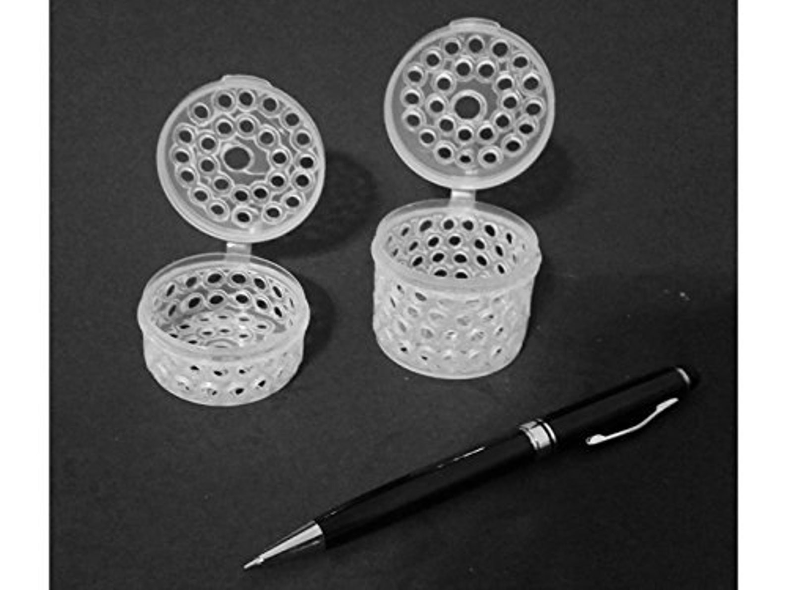 Kefir Fermenter: Container With Kefir Grains (20 G) - Etsy