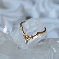 Canadian First Nations, Beaver Chunky Gold and Silver Ring, Indigenous ...