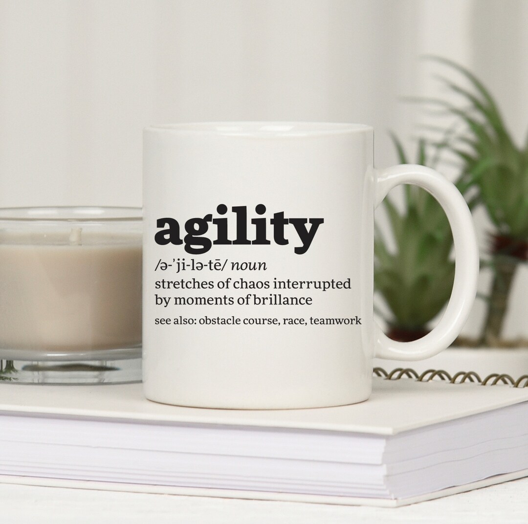 Flyball Agility Gift Mug Cup Christmas Birthday Secret Santa Stocking ...