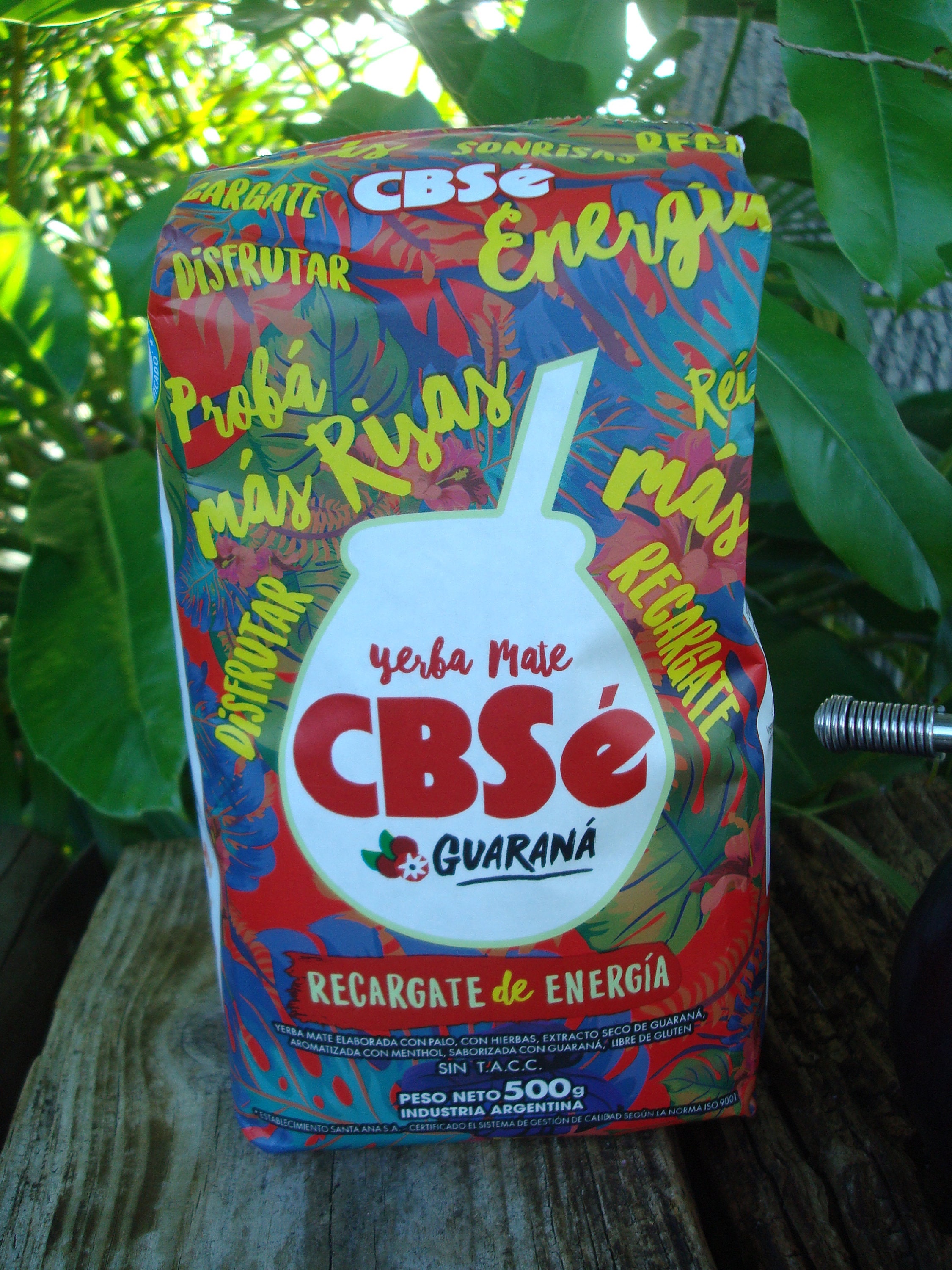 Mate Set Cbse 1/2 Kilo Yerba Mate 500gr 1.10 Lbs CBSé - Etsy