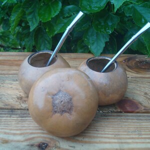 Mate Calabaza Gourd Straw bombilla Yerba Mate Mate Uruguay Argentinien ...