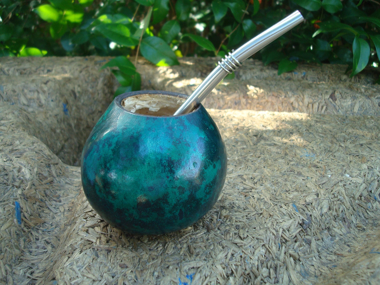 Mate Set CBSe 1/2 Kilo Yerba Mate 500gr 1.10 lbs CBSe | Etsy