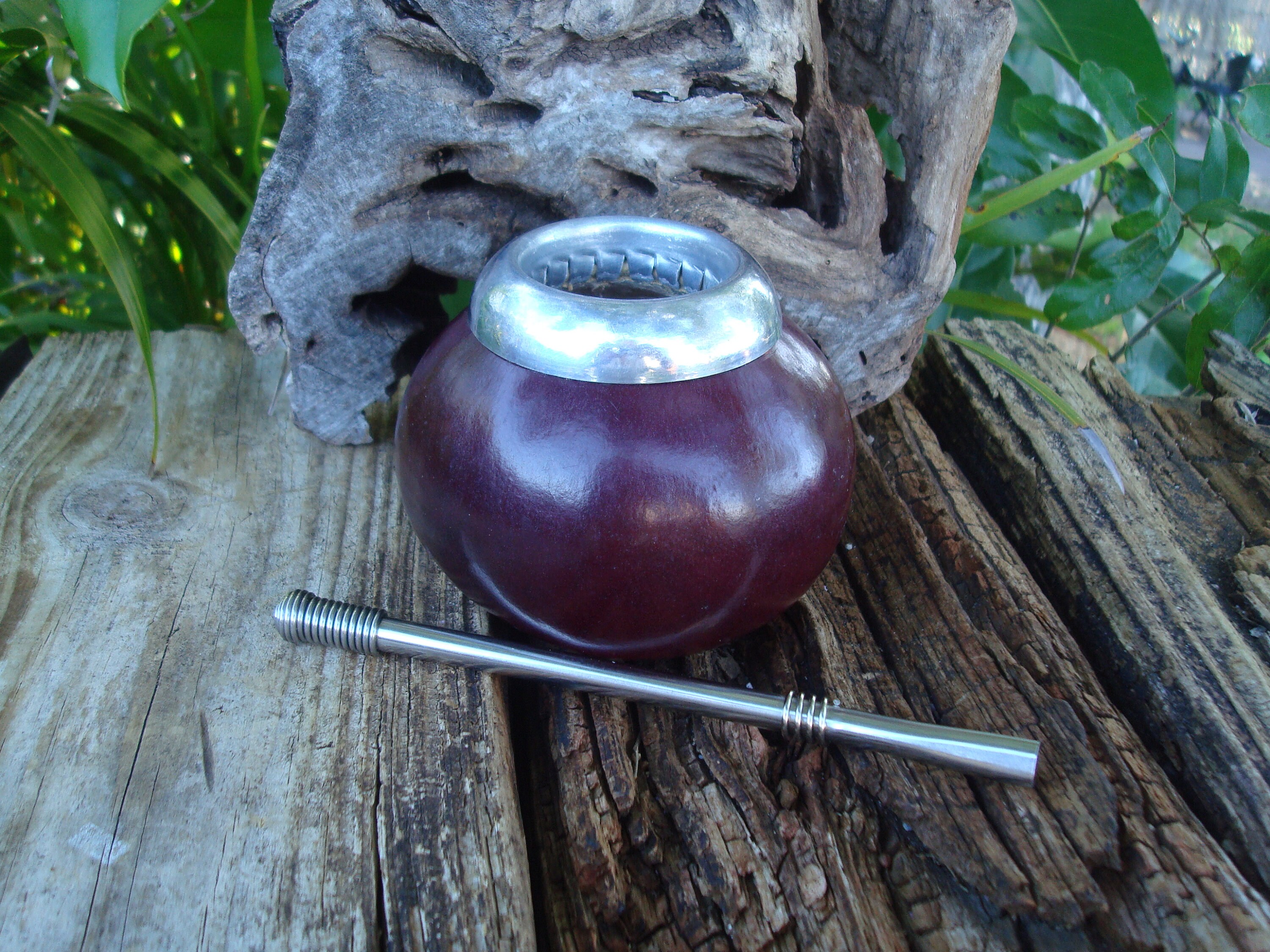 Mate Set Cbse 1/2 Kilo Yerba Mate 500gr 1.10 Lbs CBSé - Etsy