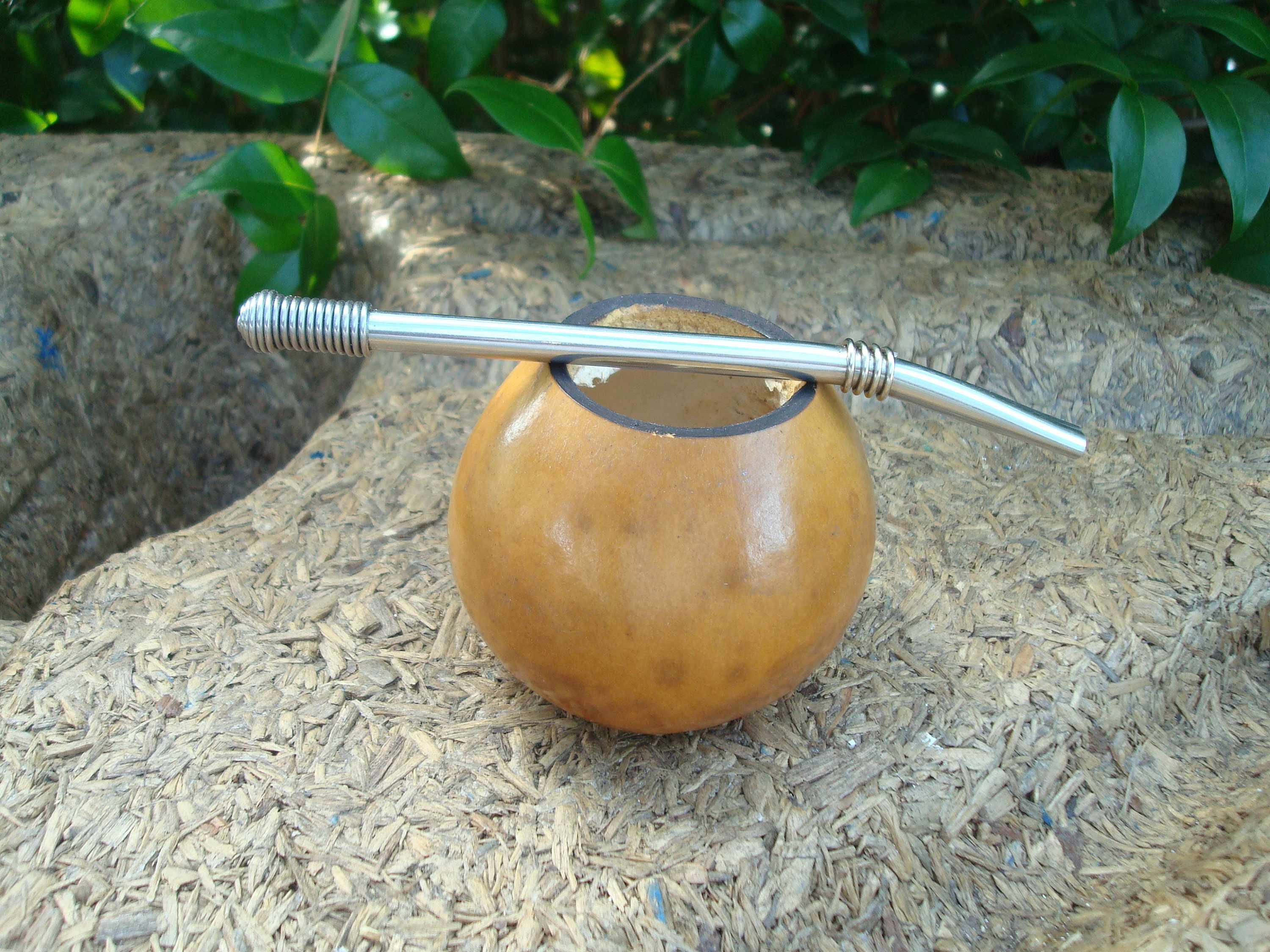 Argentina Mate Calabaza Calabaza CalabazaYerba Té con Paja | Etsy