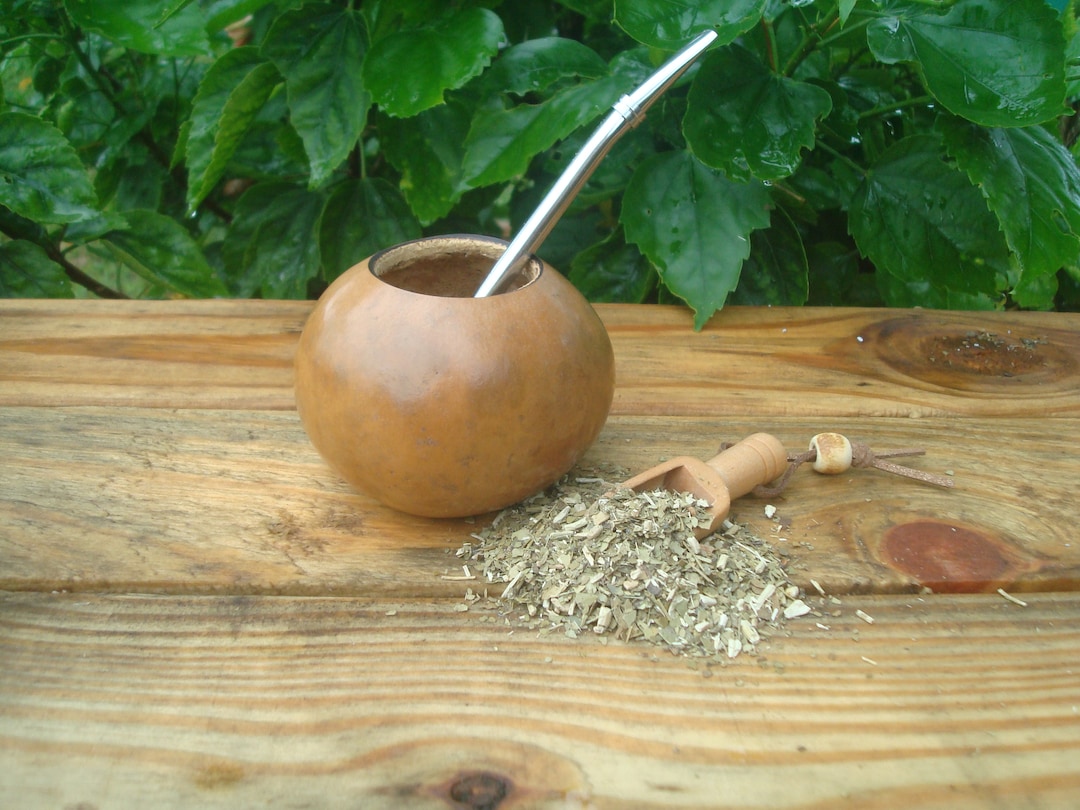 Mate Calabaza Gourd Straw bombilla Yerba Mate Mate Uruguay Argentinien ...
