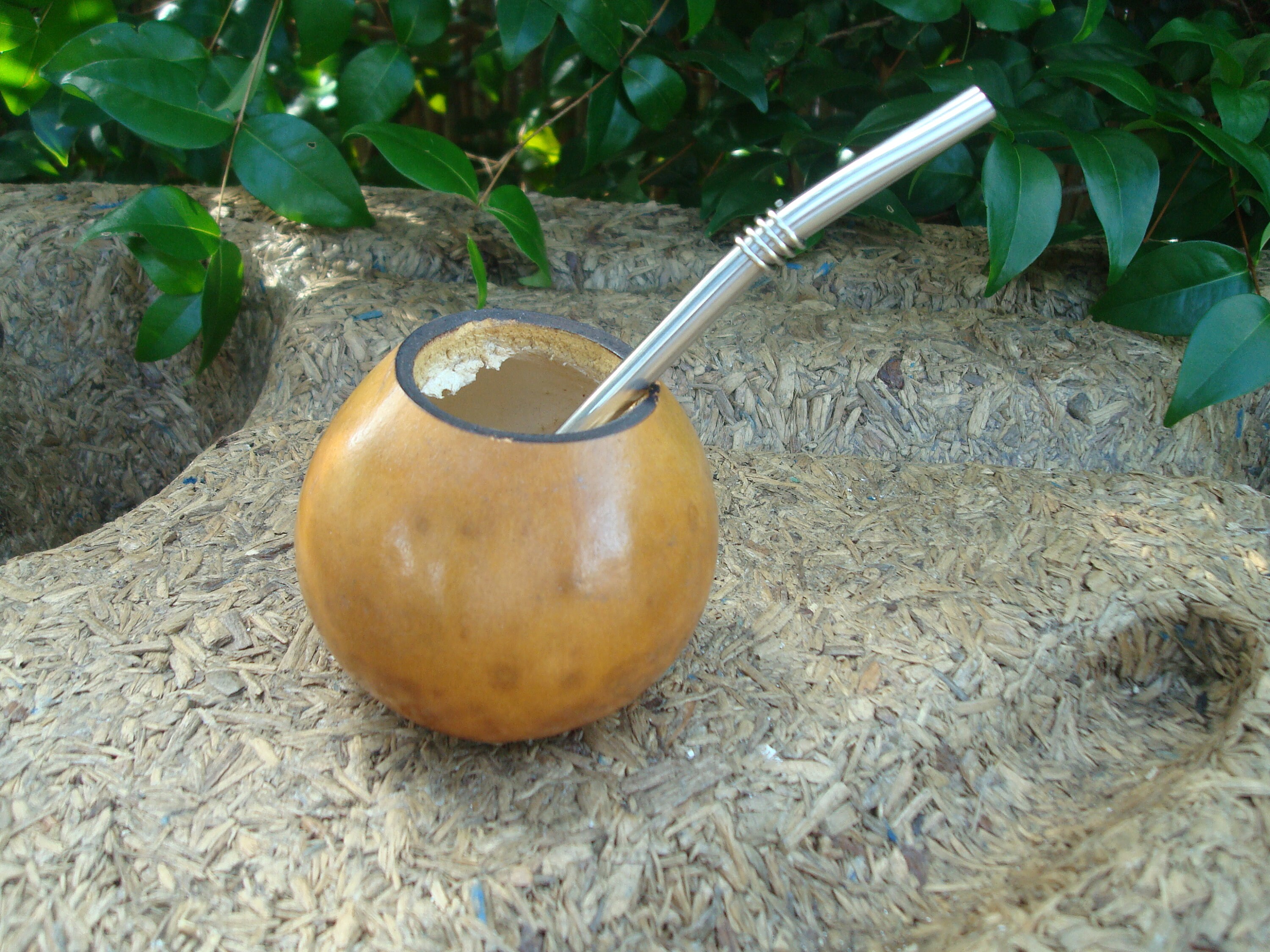 Argentina Mate Calabaza Calabaza CalabazaYerba Té con Paja | Etsy