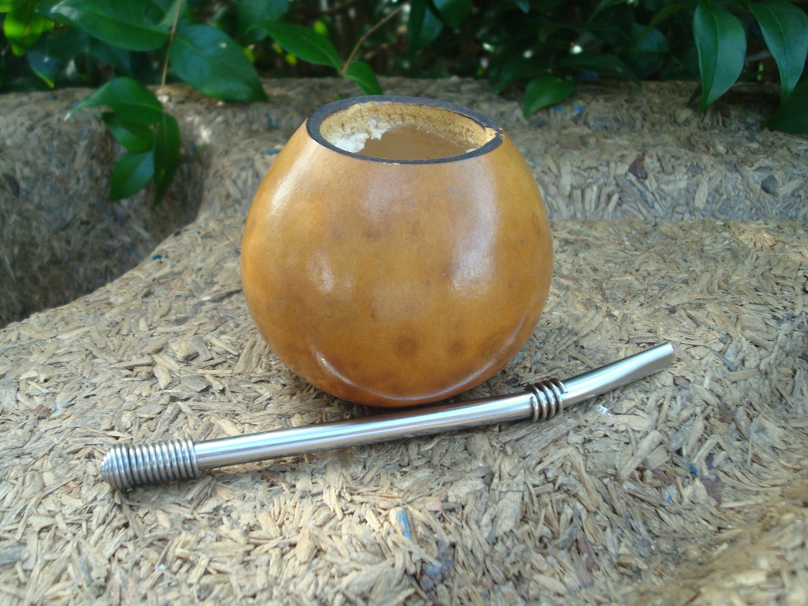 Argentina Mate Calabaza Calabaza CalabazaYerba Té con Paja | Etsy