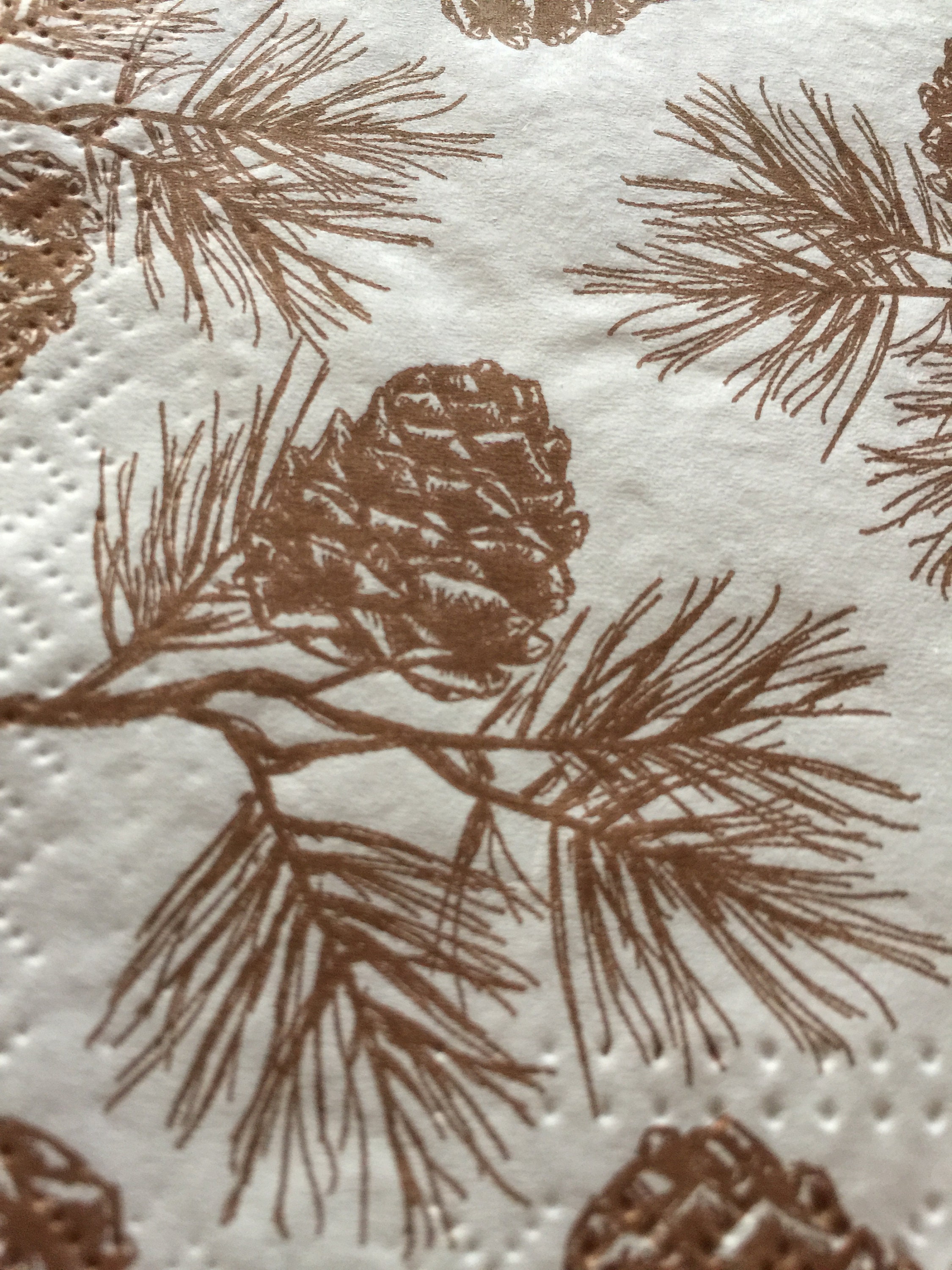 Paper Napkins for Decoupage Set 4 Pine Cones Napkins Brown Design ...