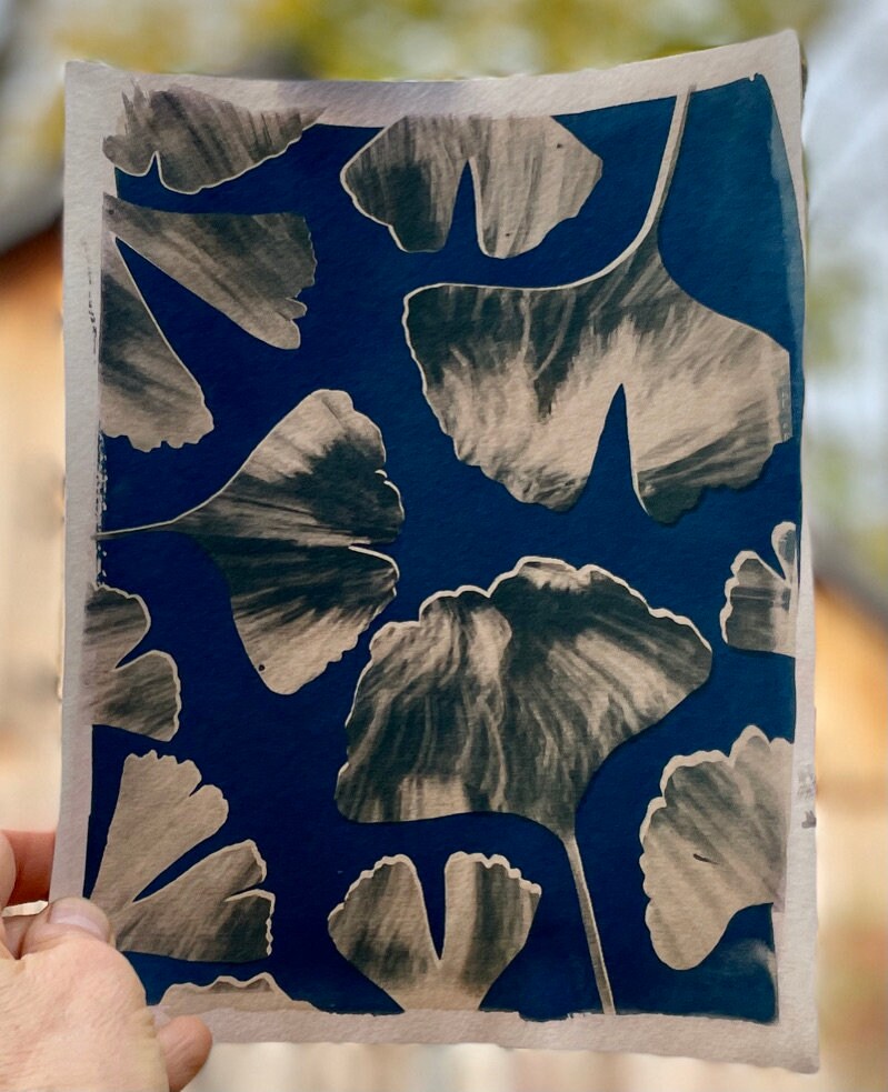 Gingko Cyanotype: Toned, Double Exposure - Etsy