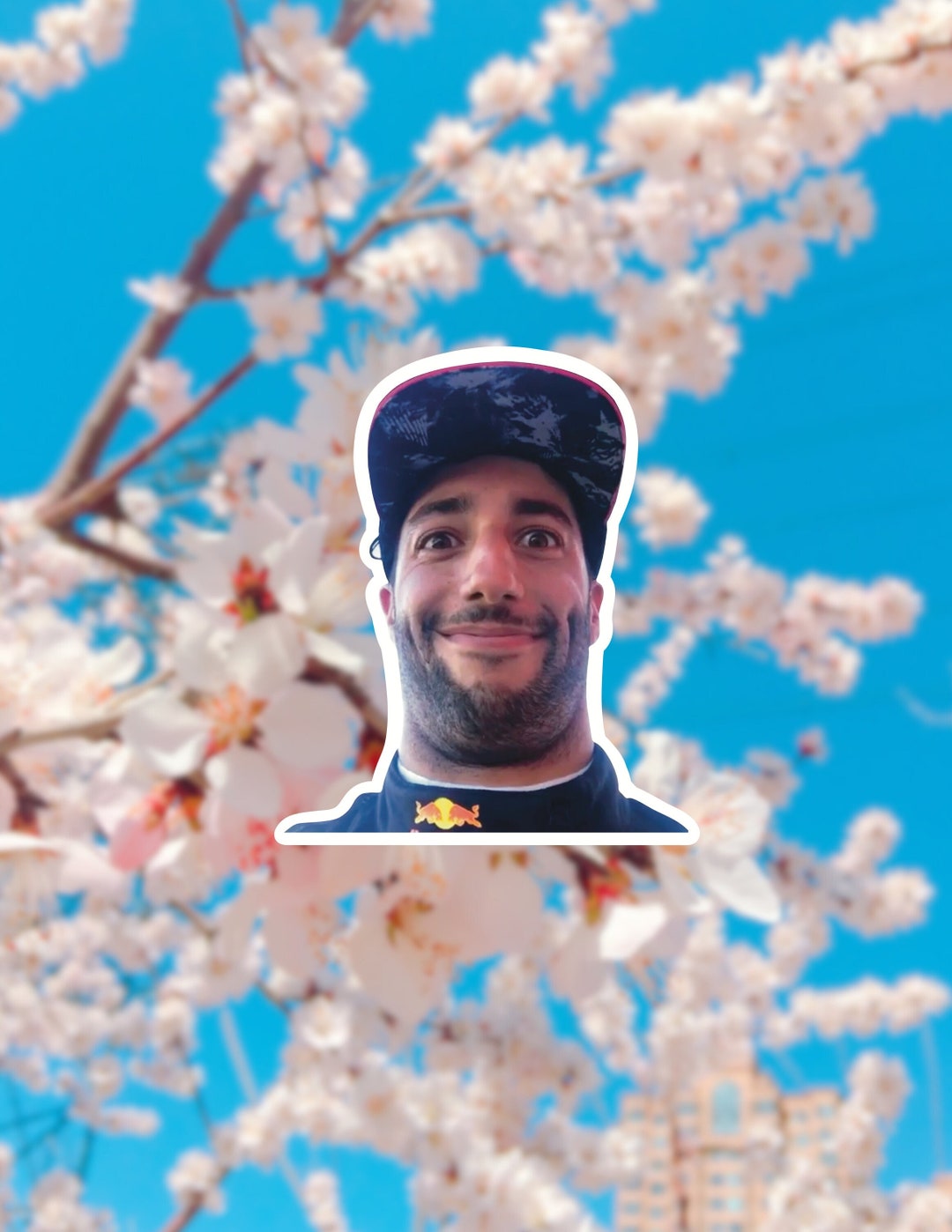 Daniel Ricciardo Meme Selfie Die-cut Sticker Glossy Vinyl Die Cut ...