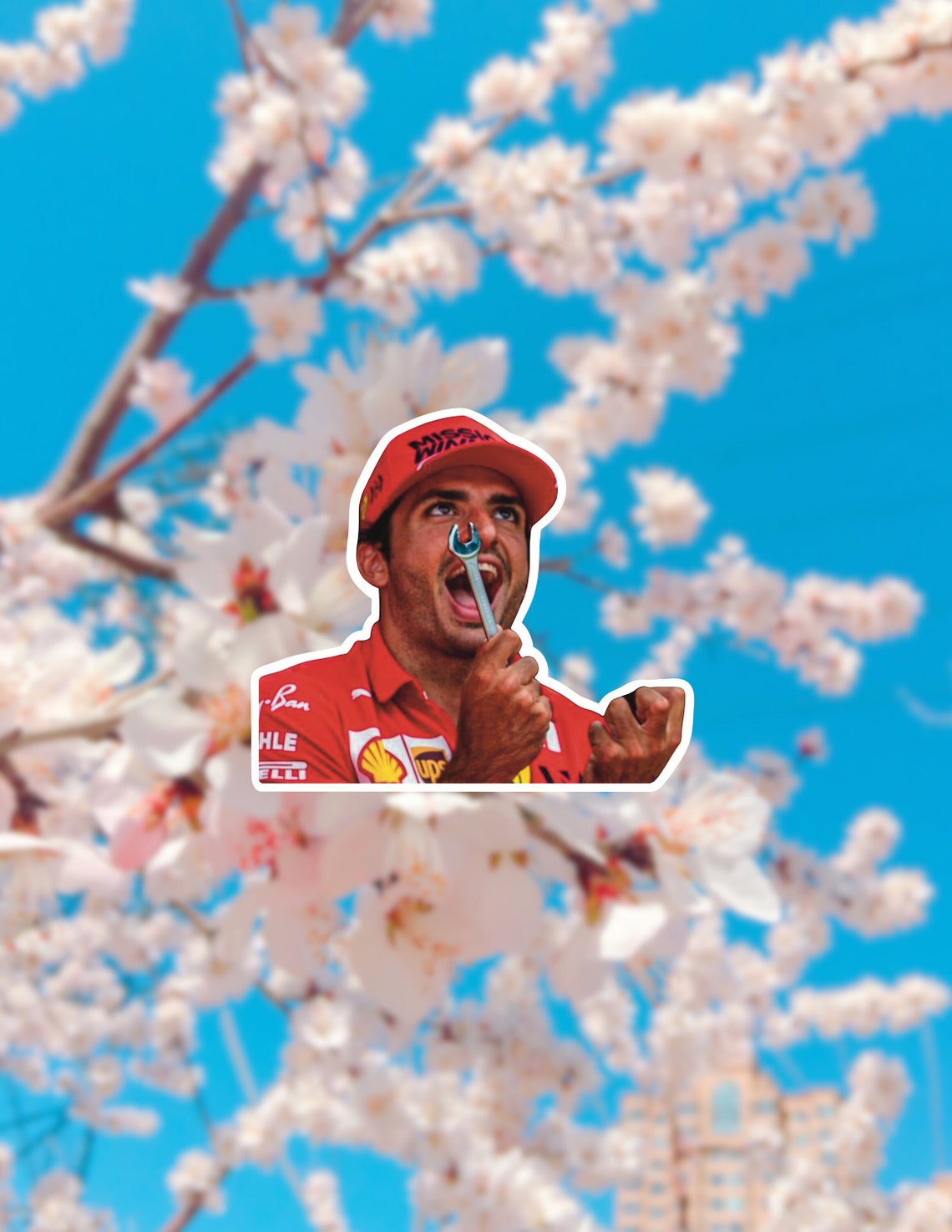 Carlos Sainz Meme Face Die-cut Sticker Glossy Vinyl Die Cut Stickers ...