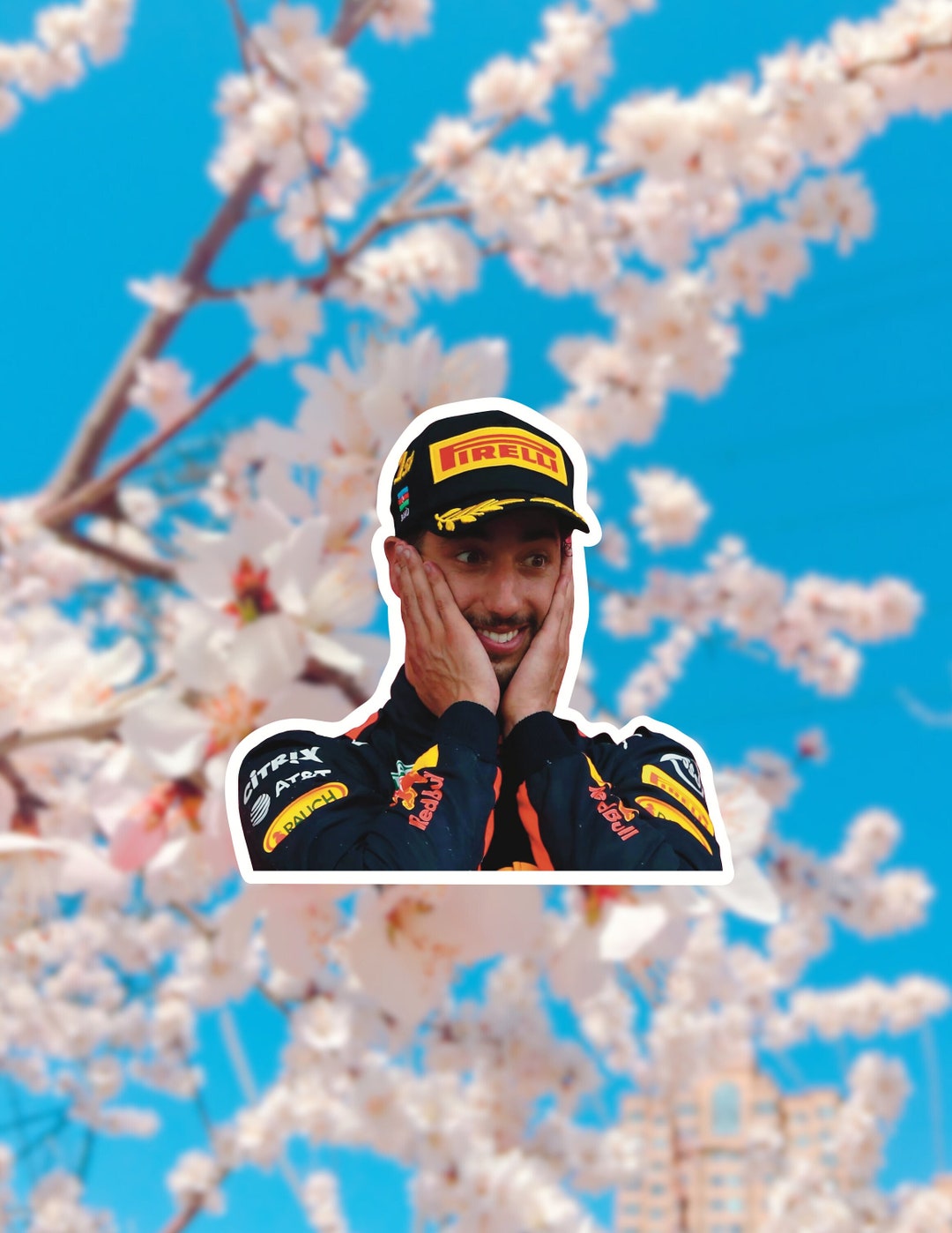 Daniel Ricciardo Die-cut Sticker | Glossy Vinyl Die Cut Stickers | Red ...