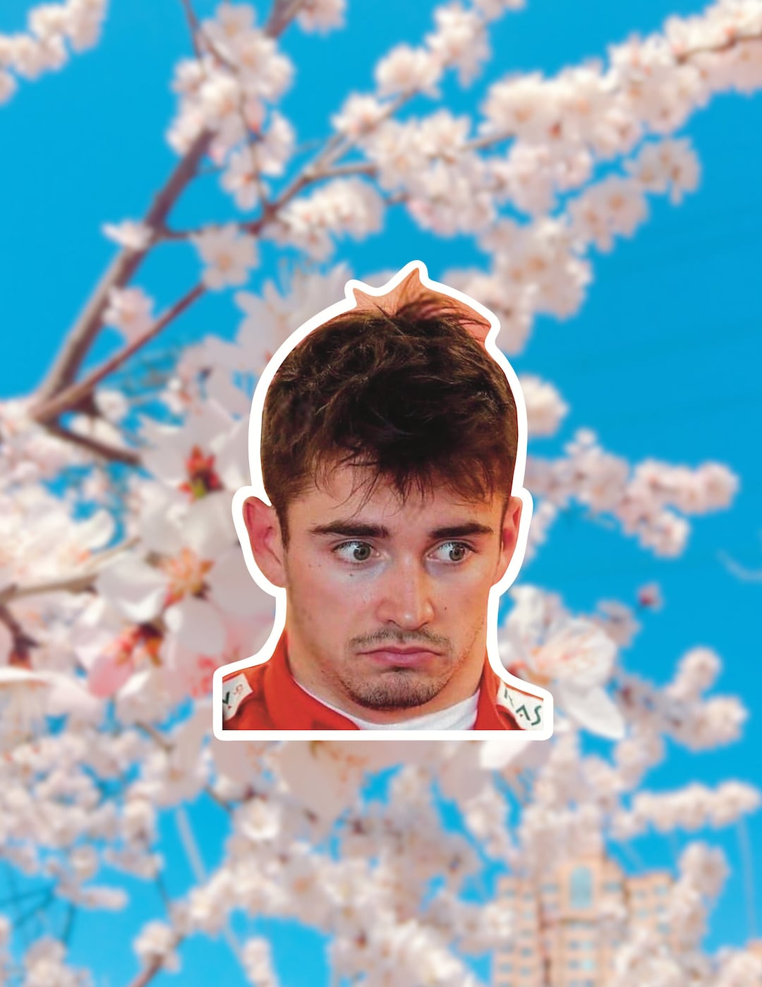 Charles Leclerc Meme Face Die-cut Sticker | Glossy Vinyl Die Cut ...
