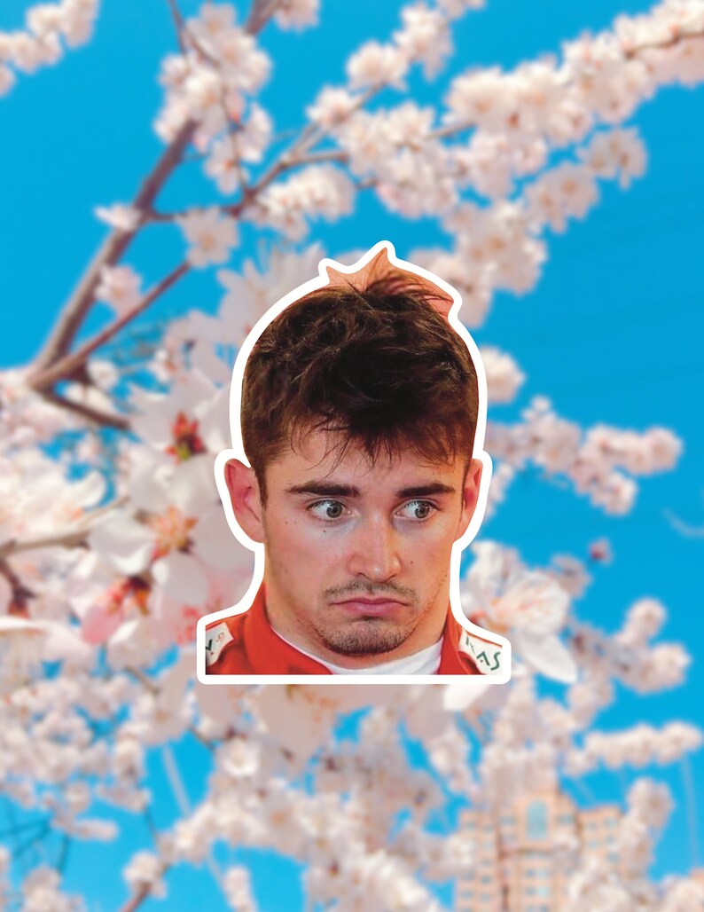 Charles Leclerc Meme Face Die-cut Sticker | Glossy Vinyl Die Cut ...