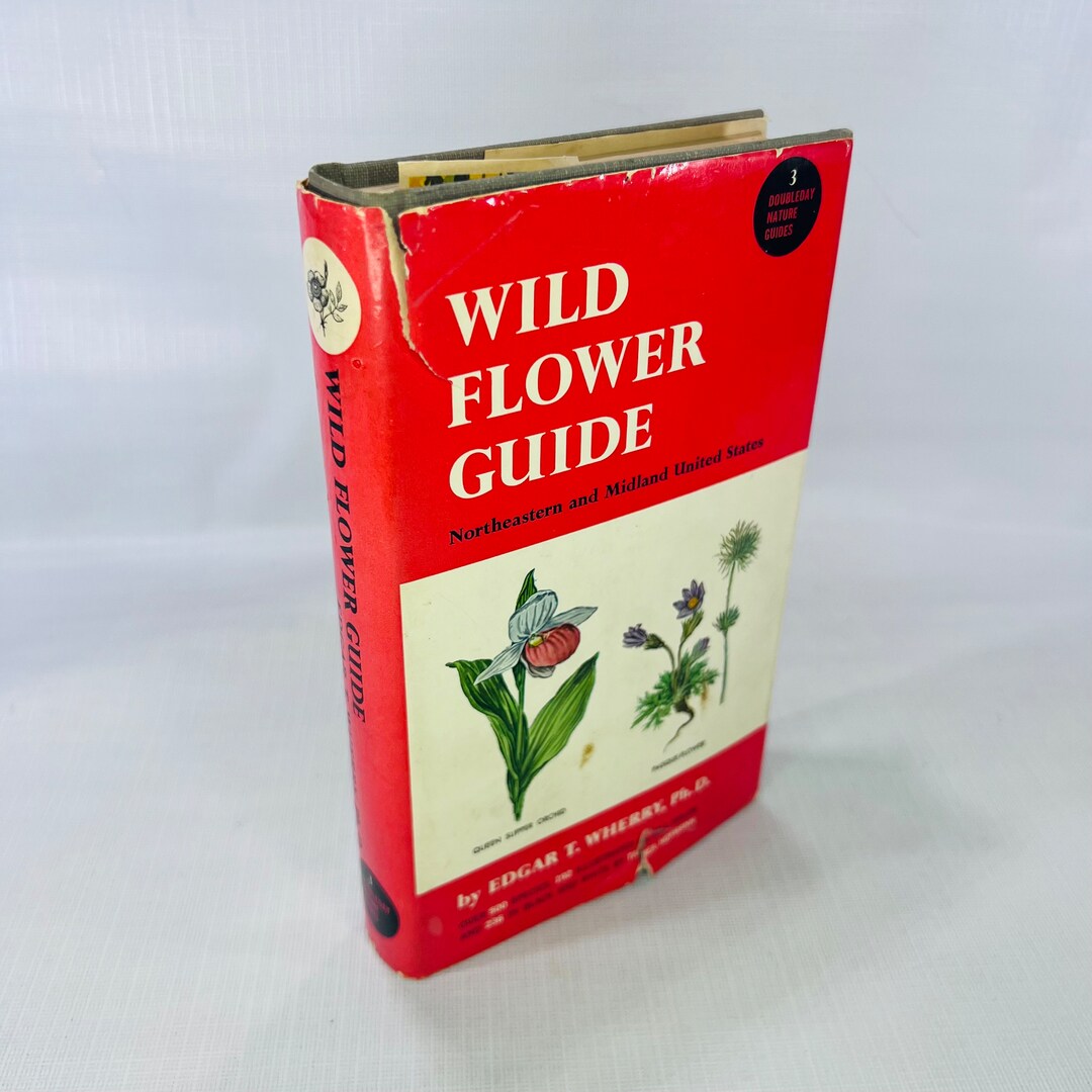 Wild Flower Guide Northeastern and Midland United States by Edgar T ...