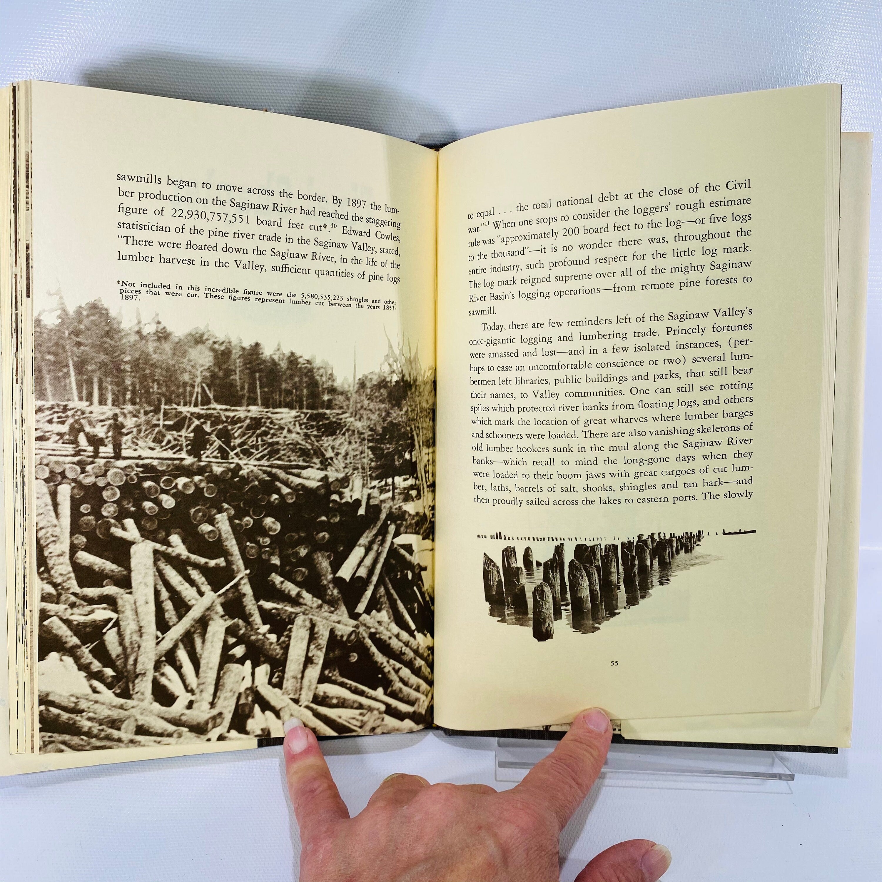The Story of Logging the White Pine in the Saginaw Valley by Harold ...
