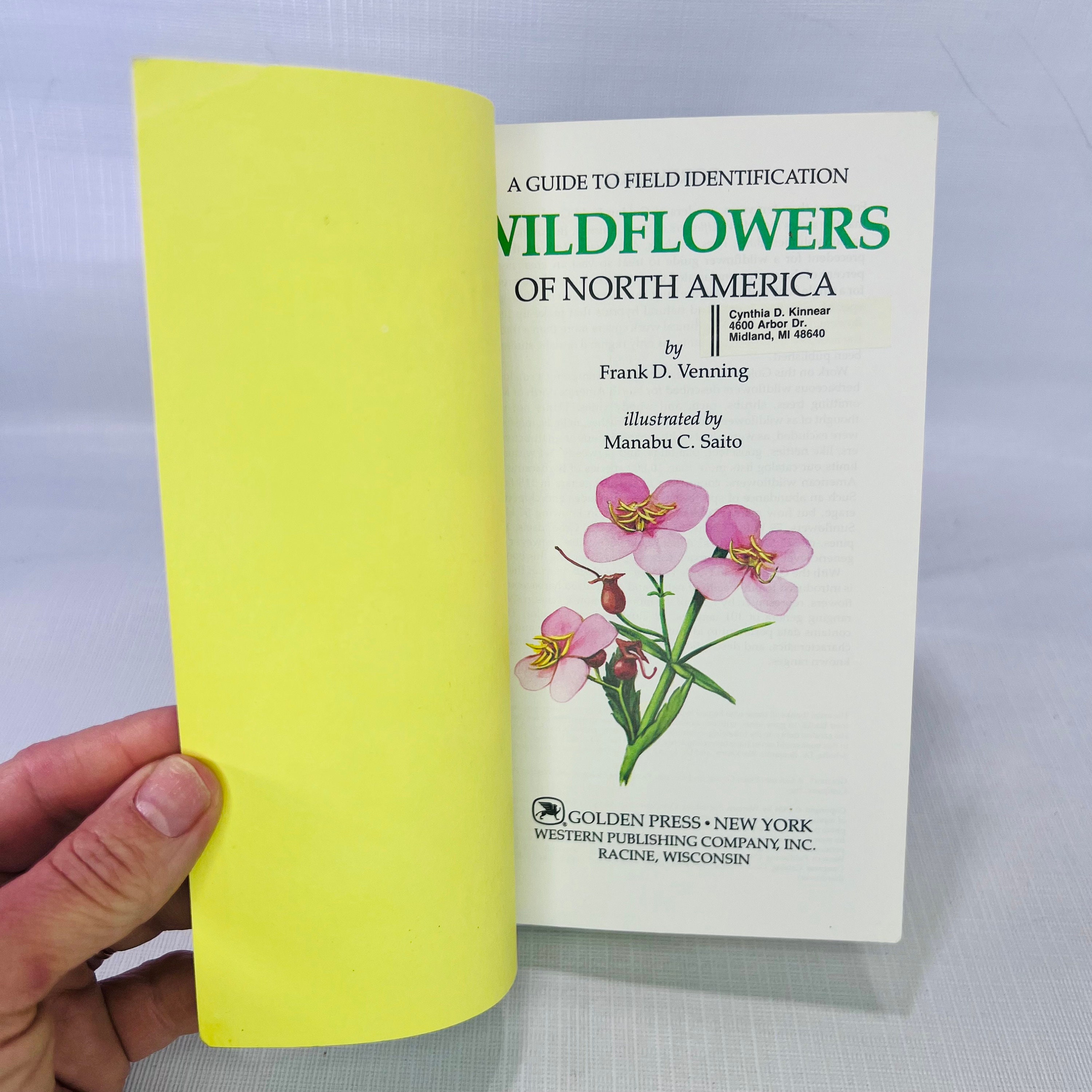 A Guide to Field Identification Wildflowers of North America by Frank ...