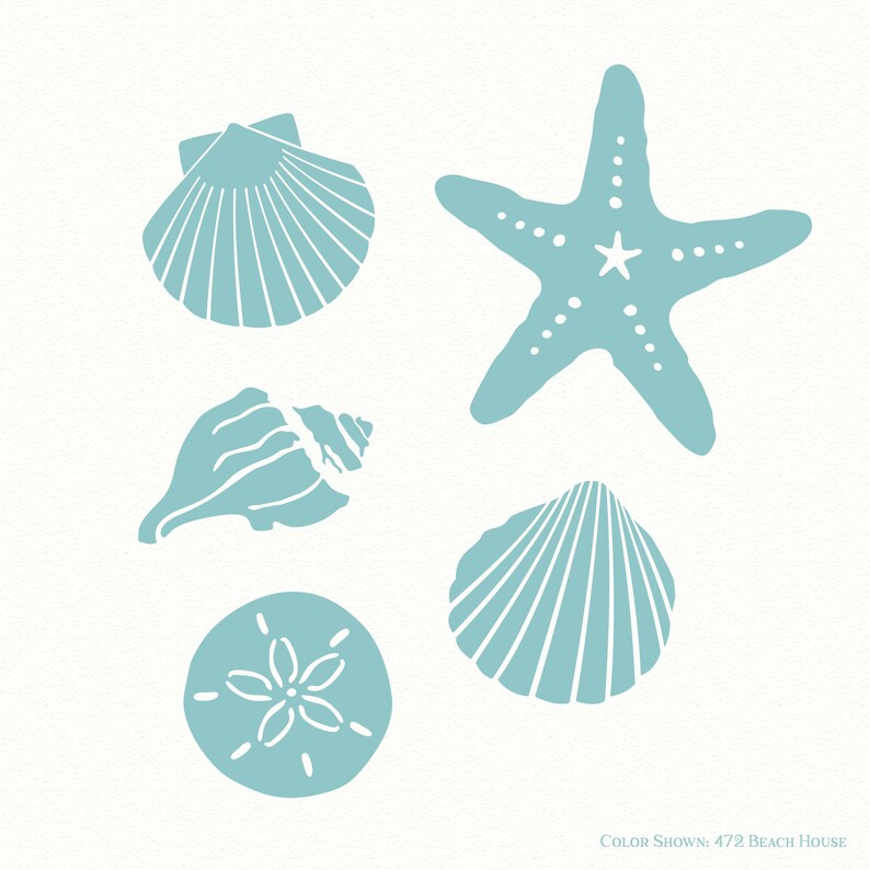 SEA SHELLS vinyl wall decals vinyl wall quotes family wall | Etsy