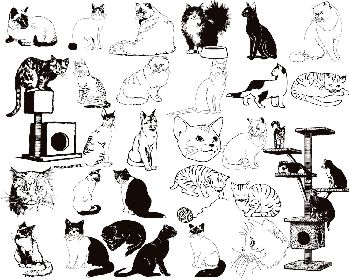 Procreate Cat Stampstattoo Cats Brushes for Procreate Animal - Etsy