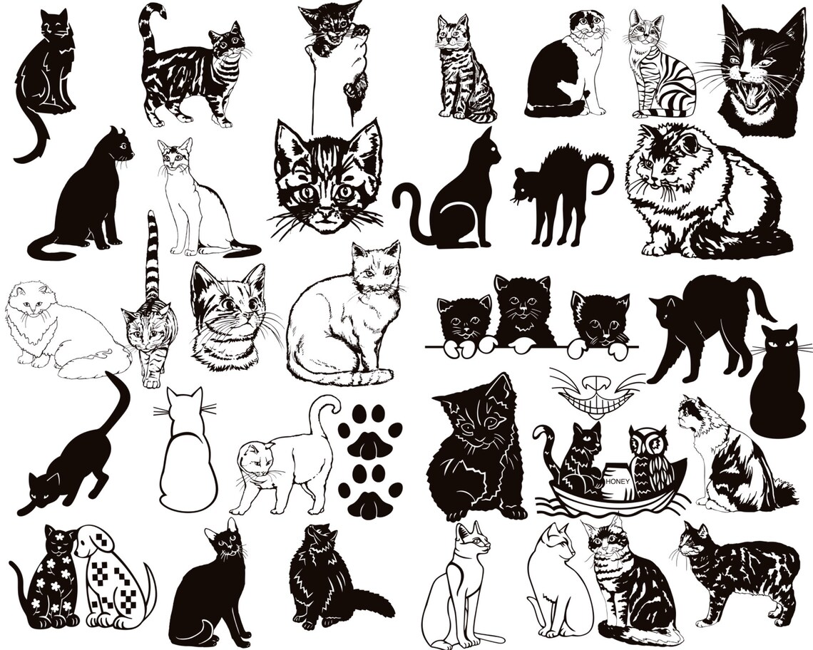 Procreate Cat Stampstattoo Cats Brushes for Procreate Animal - Etsy