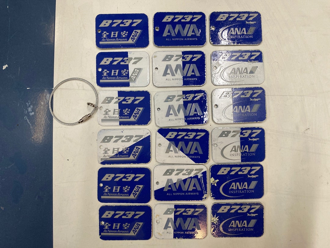 ANA B737 Aircraft Skin Keychain JA13AN - Etsy