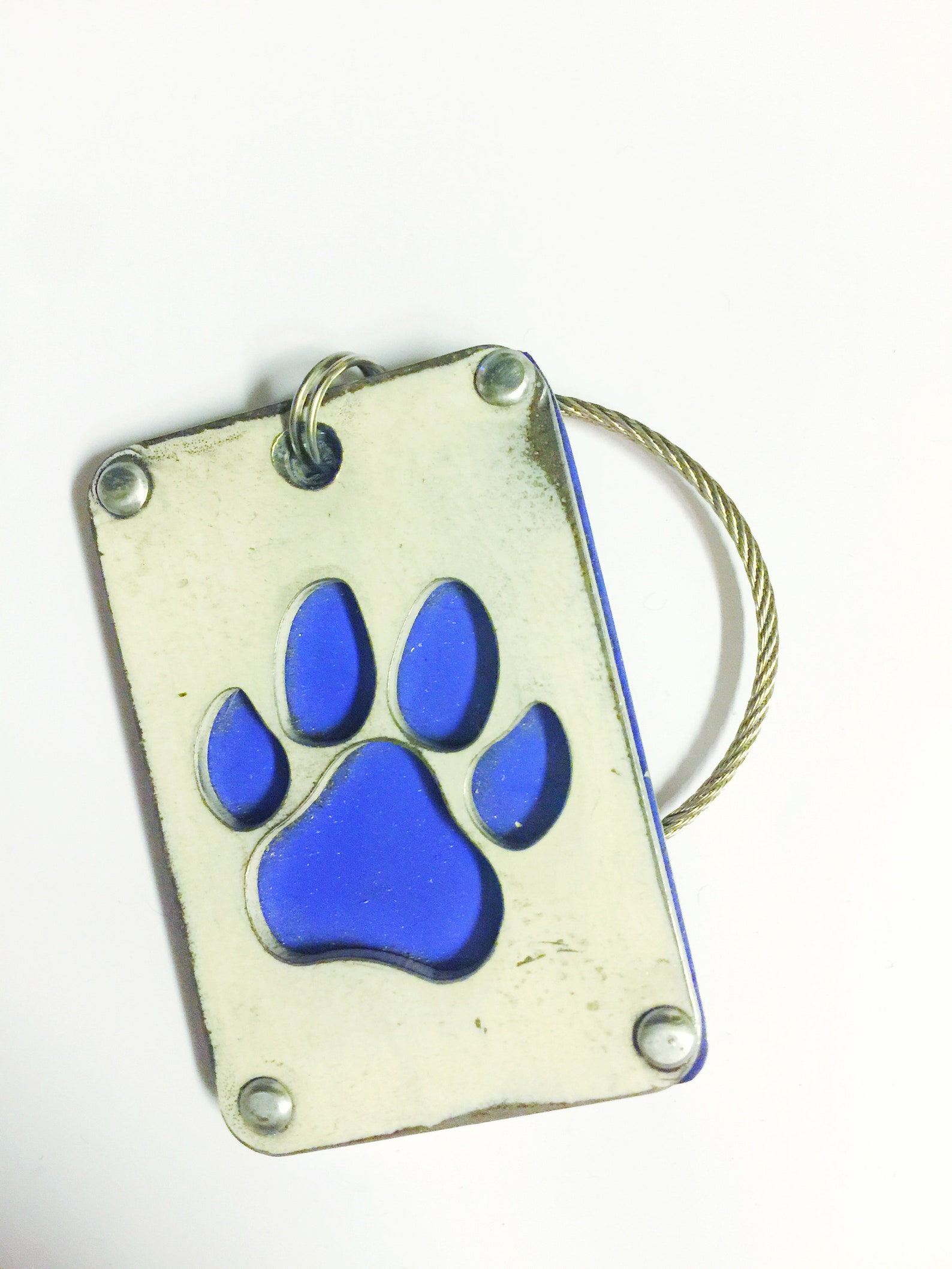 Steel Dog Paw Key Chain With SWA Aircraft Skin - Etsy