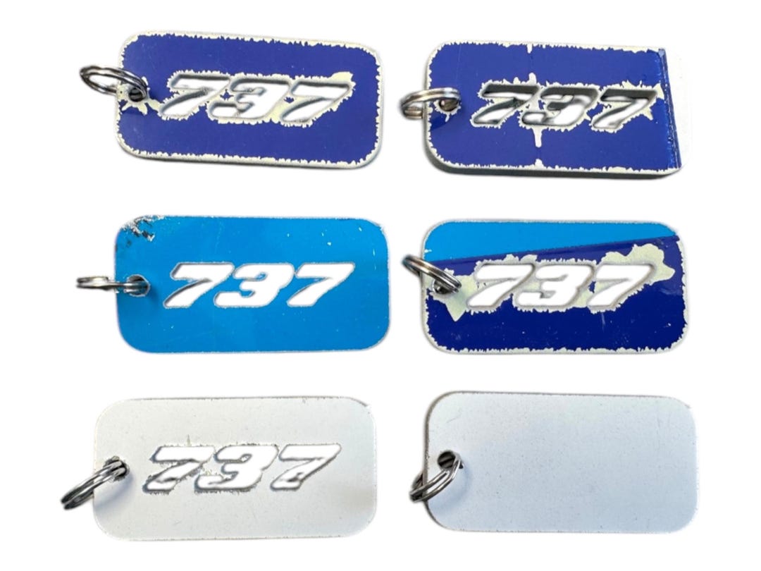 ANA B737 Aircraft Skin Key Fobs JA13AN - Etsy