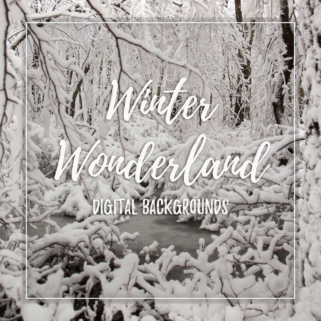 Winter Wonderland Digital Background for Photographers - Etsy