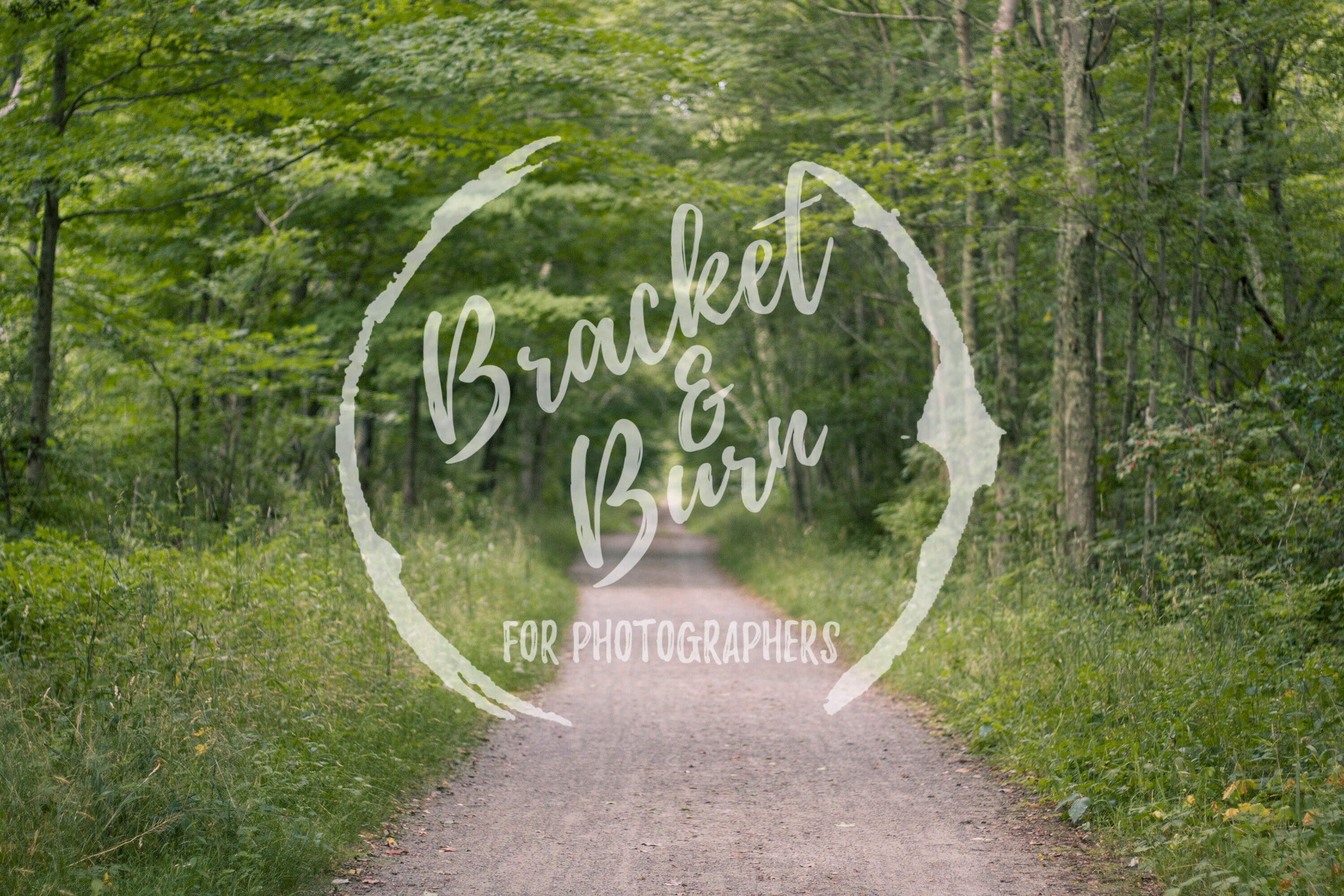 Country Road Digital Backdrop for Photographers - Etsy