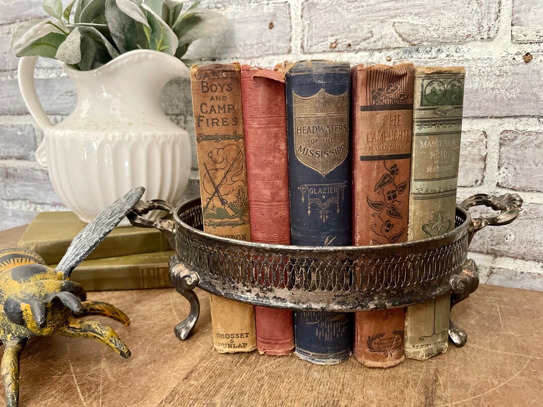 Instant Vignette Book Stack Set of 5 With Silver Plate Casserole Frame ...
